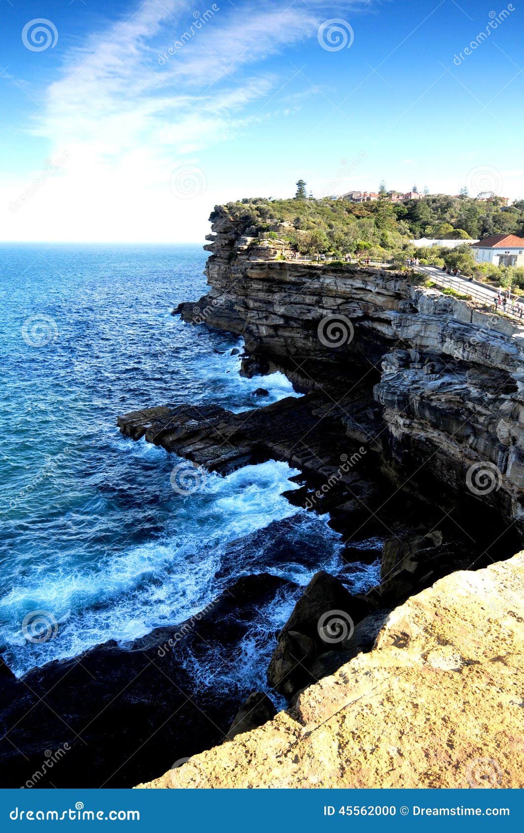 Watson Bay Cliff Sydney stock photo. Image of summer - 45562000