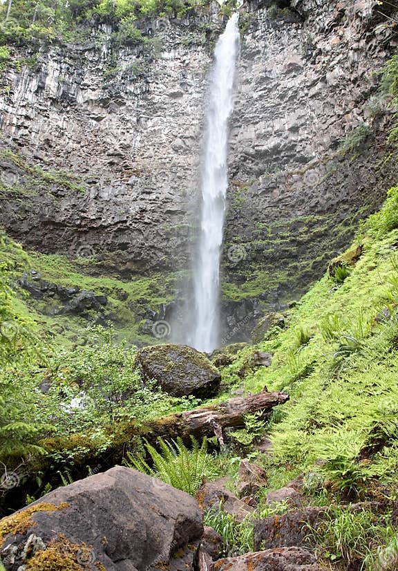 Watson Falls stock photo. Image of elevation, evergreens - 15363934