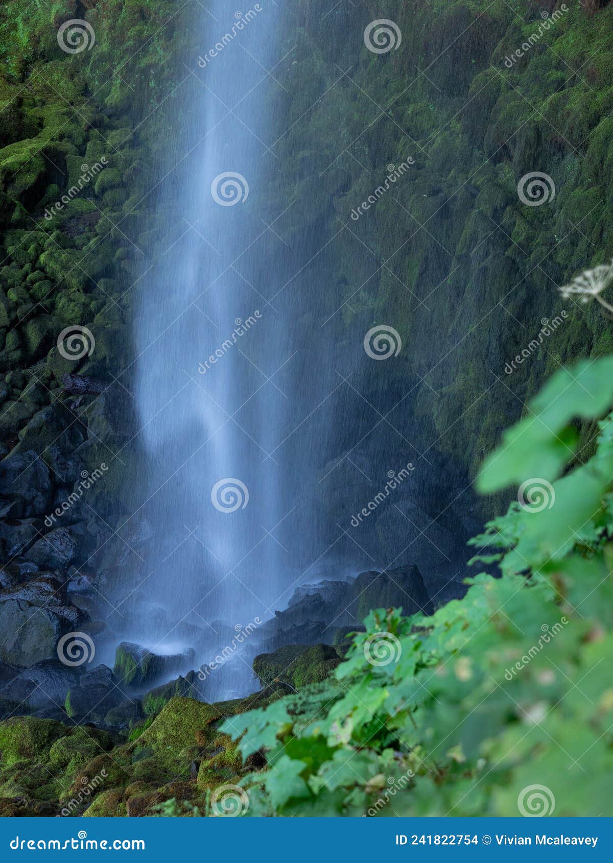 Water Falls Over Basalt Cliff Stock Photo - Image of southern, oregon ...