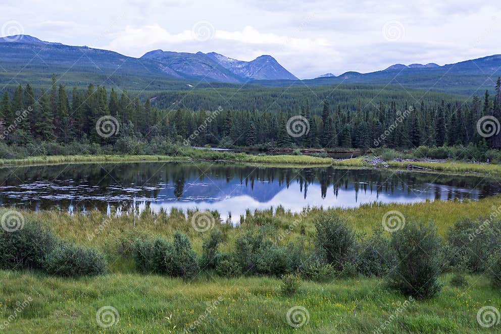 Watson lake stock image. Image of water, summer, reflection - 89364321
