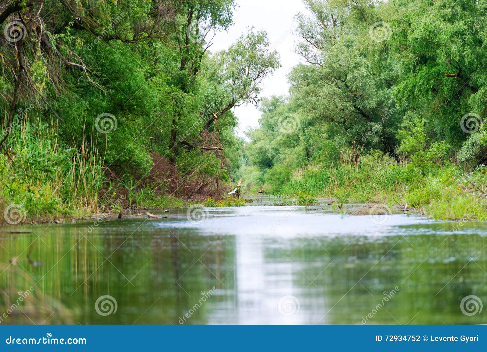 A Watter Channel in the Danube Delta Stock Photo - Image of outdoor ...