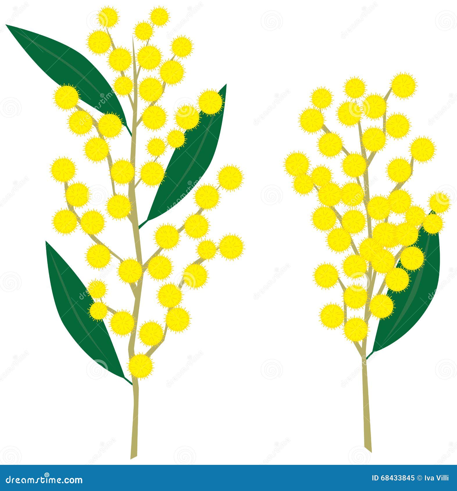 Wattle Ilustrações, Vetores E Clipart De Stock – (975 Stock Illustrations)