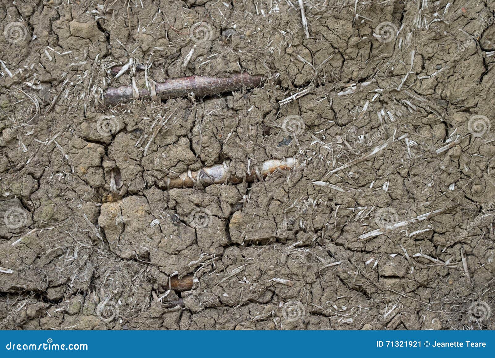Wattle and Daub Texture Closeup of Mud House Stock Image - Image of ...
