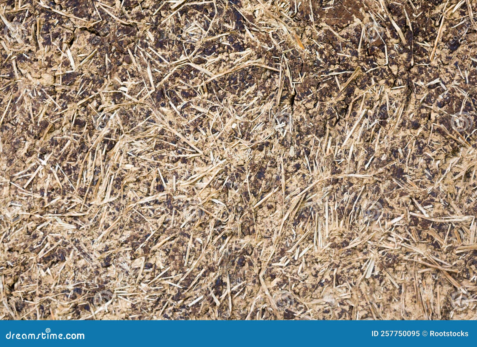 Wattle and Daub Wall Texture Stock Image - Image of adobe, abstract ...