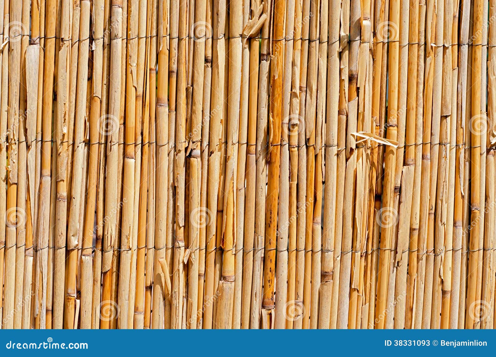 Wattle Fence stock image. Image of fiber, lumber, rough - 38331093