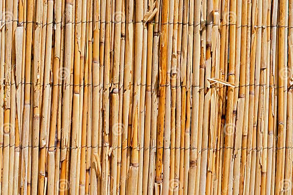 Wattle Fence stock image. Image of fiber, lumber, rough - 38331093