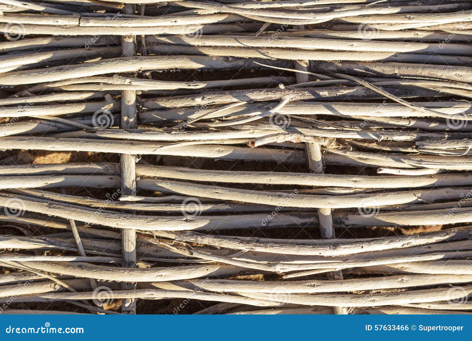 Wattle stock photo. Image of plaiting, backdrop, plashing - 57633466