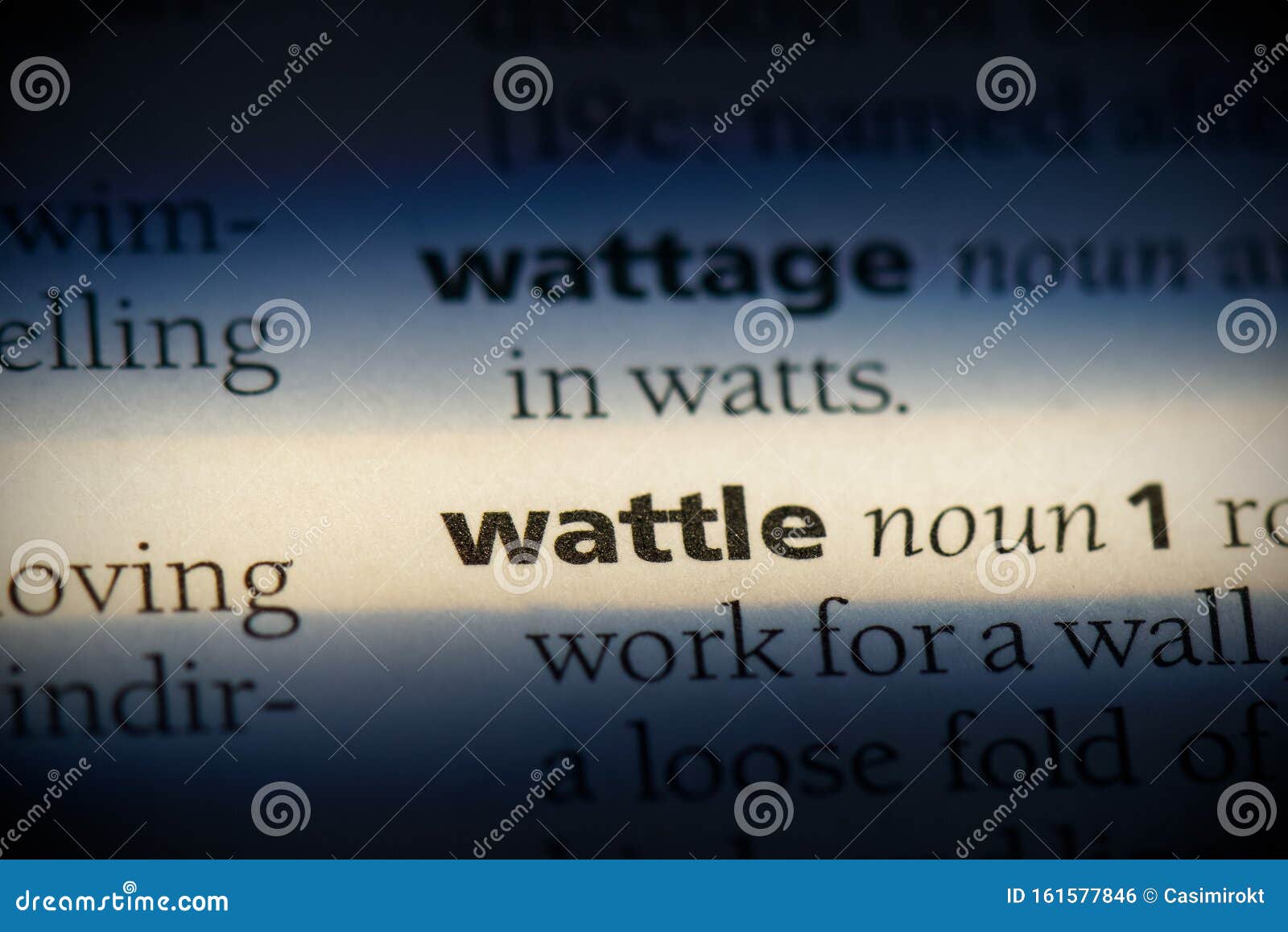 Wattle stock photo. Image of closeup, meaning, paper - 161577846