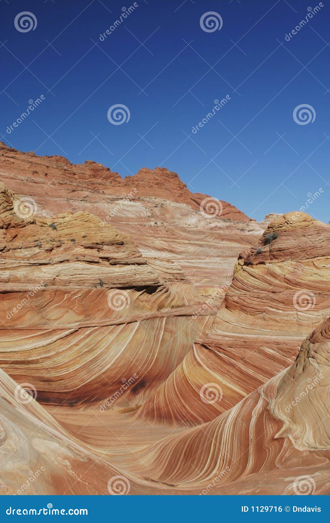 The Wave stock photo. Image of erosion, nature, sandstone - 1129716