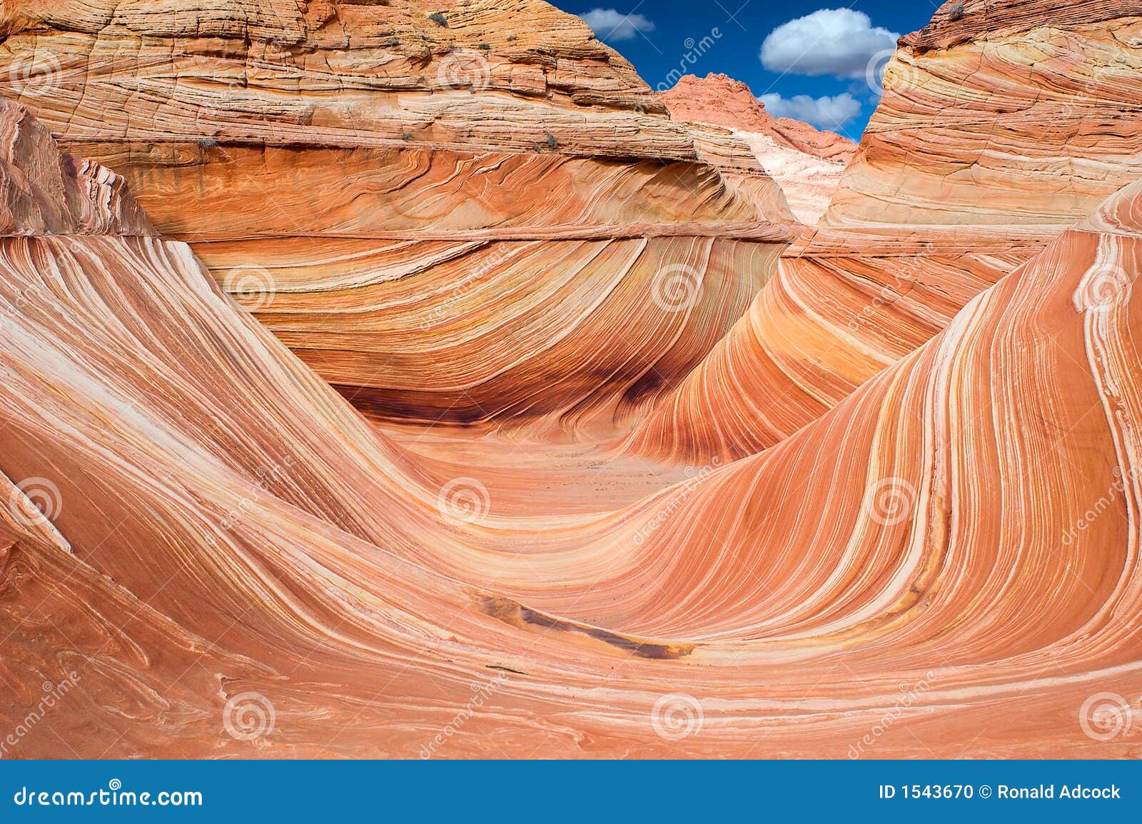 123 Angled Wave Stock Photos - Free & Royalty-Free Stock Photos from ...