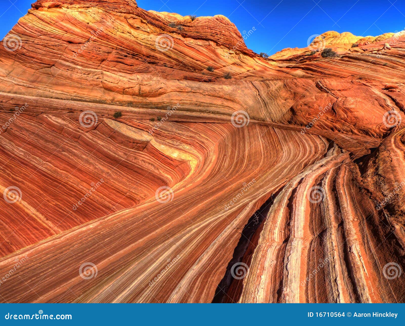 The Wave stock photo. Image of kanab, rock, scenery, mountain - 16710564