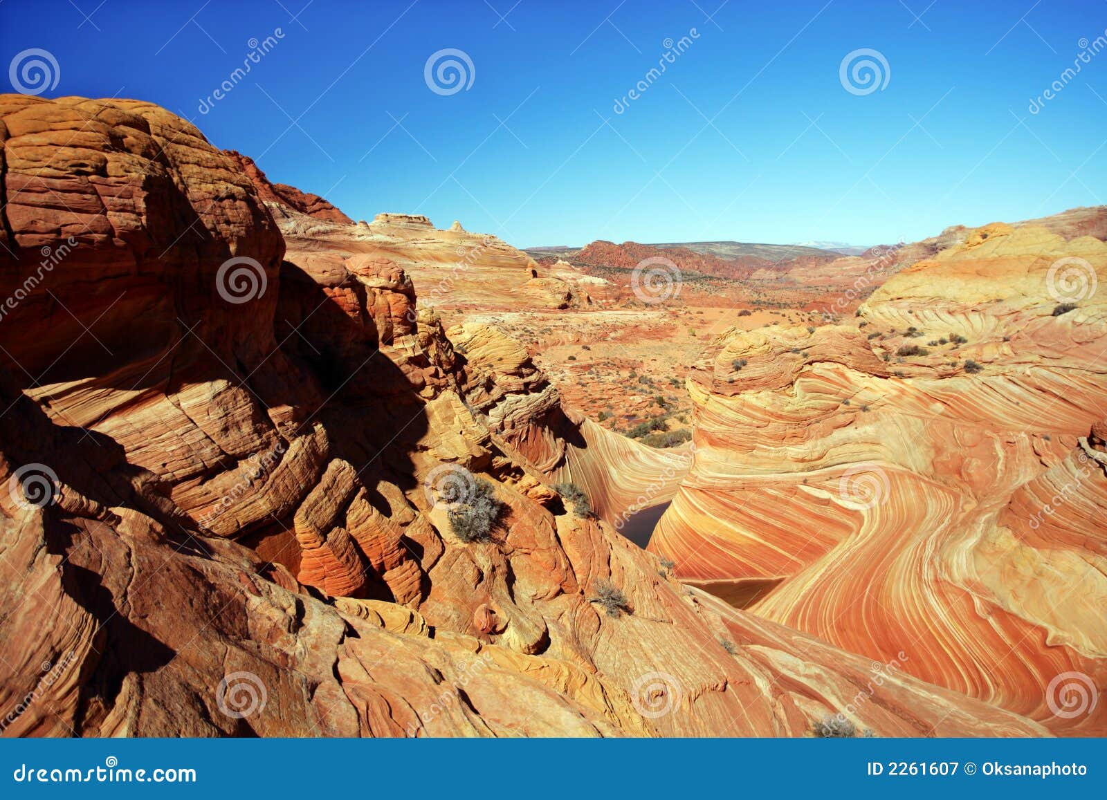 The Wave stock image. Image of coyote, desert, awesome - 2261607