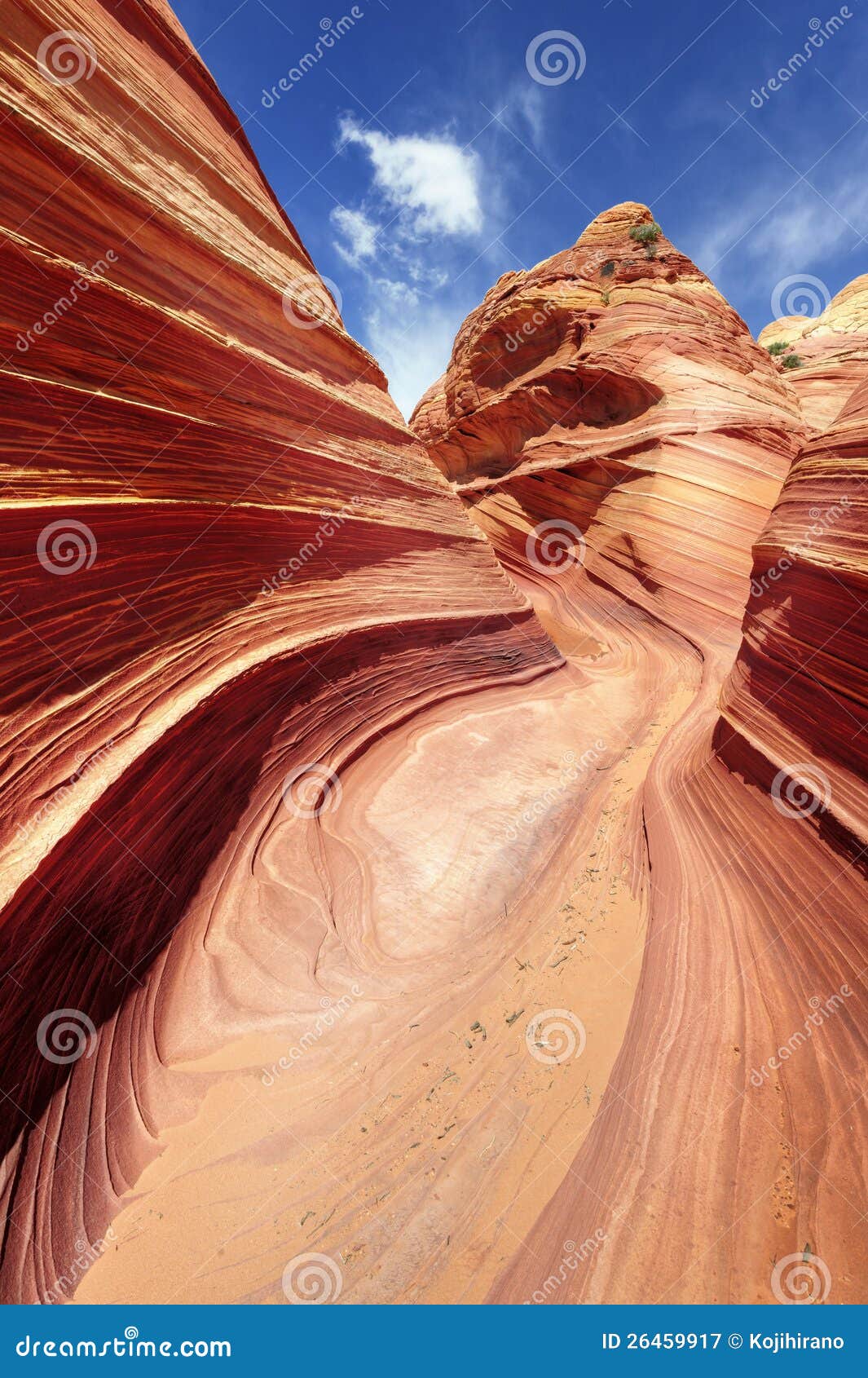 The Wave stock image. Image of earth, utah, desert, sandstone - 26459917
