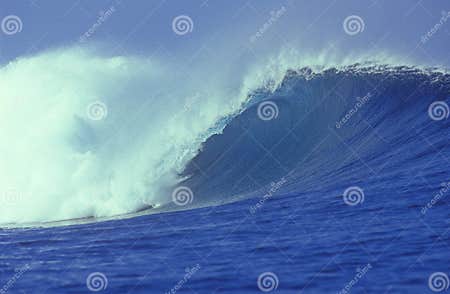 Wave stock photo. Image of pipe, culture, enjoyment, reef - 7508978