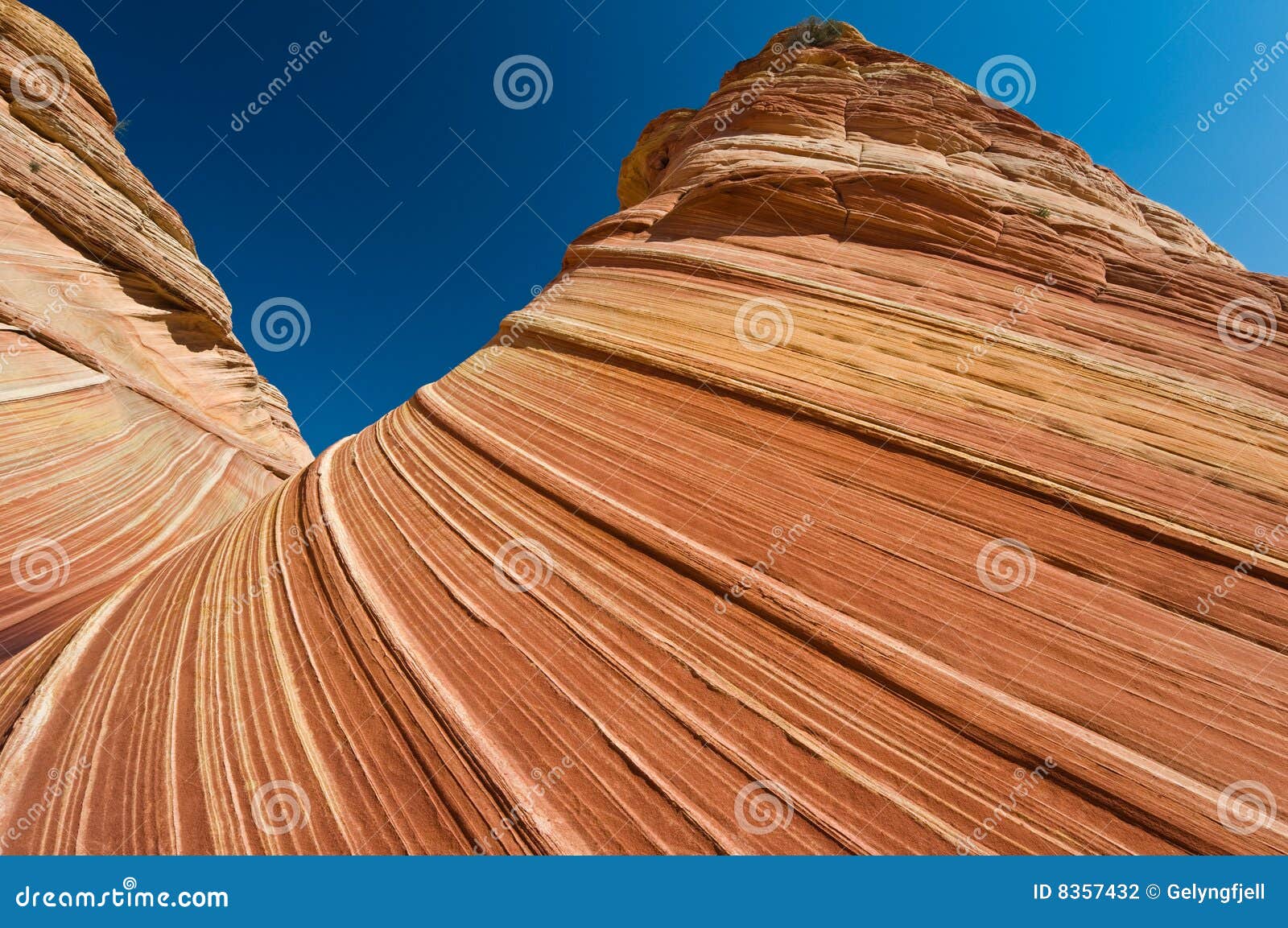 The Wave stock photo. Image of canyon, shaped, utah, desolate - 8357432