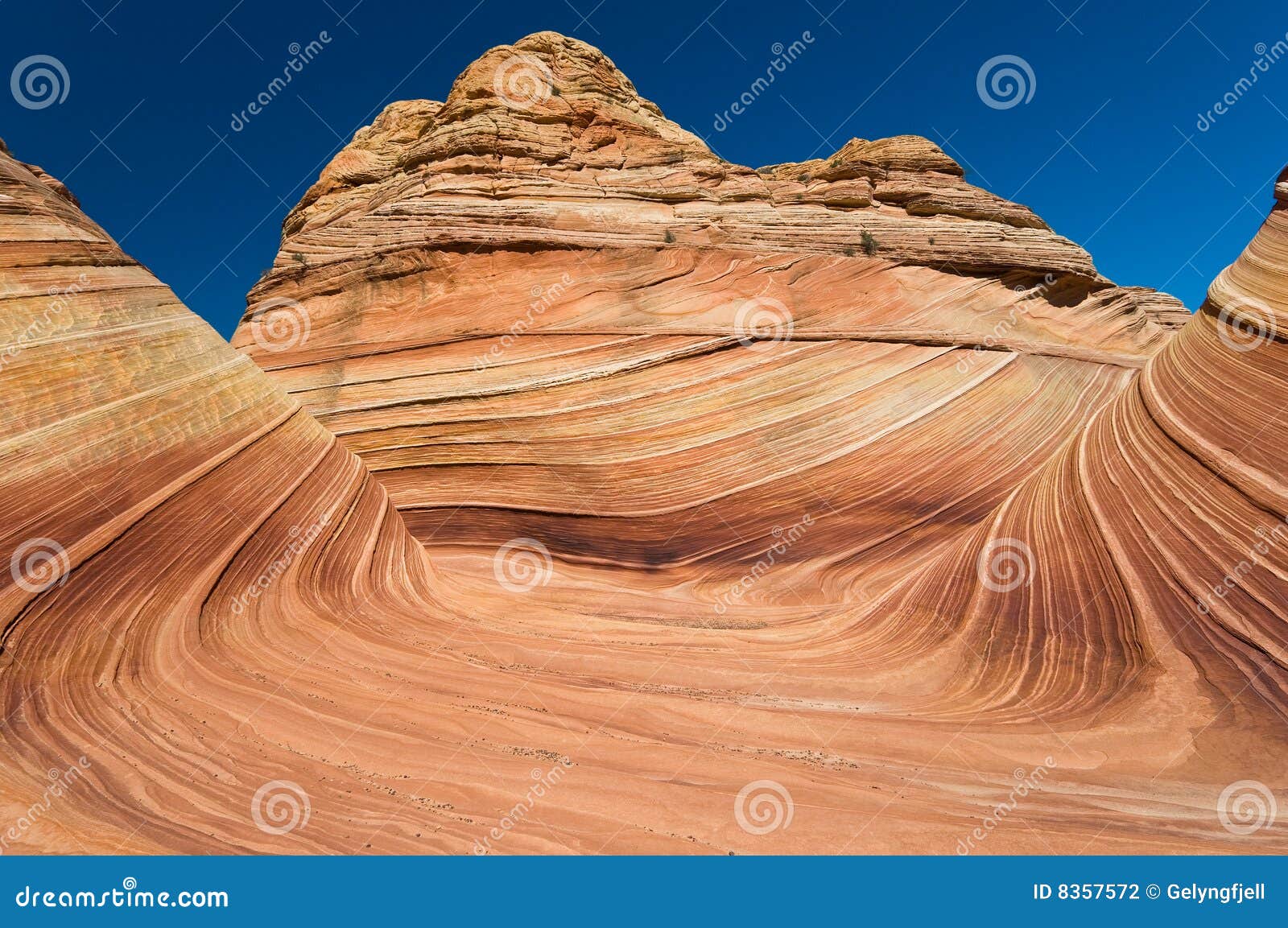 The Wave stock photo. Image of shaped, utah, abrasion - 8357572