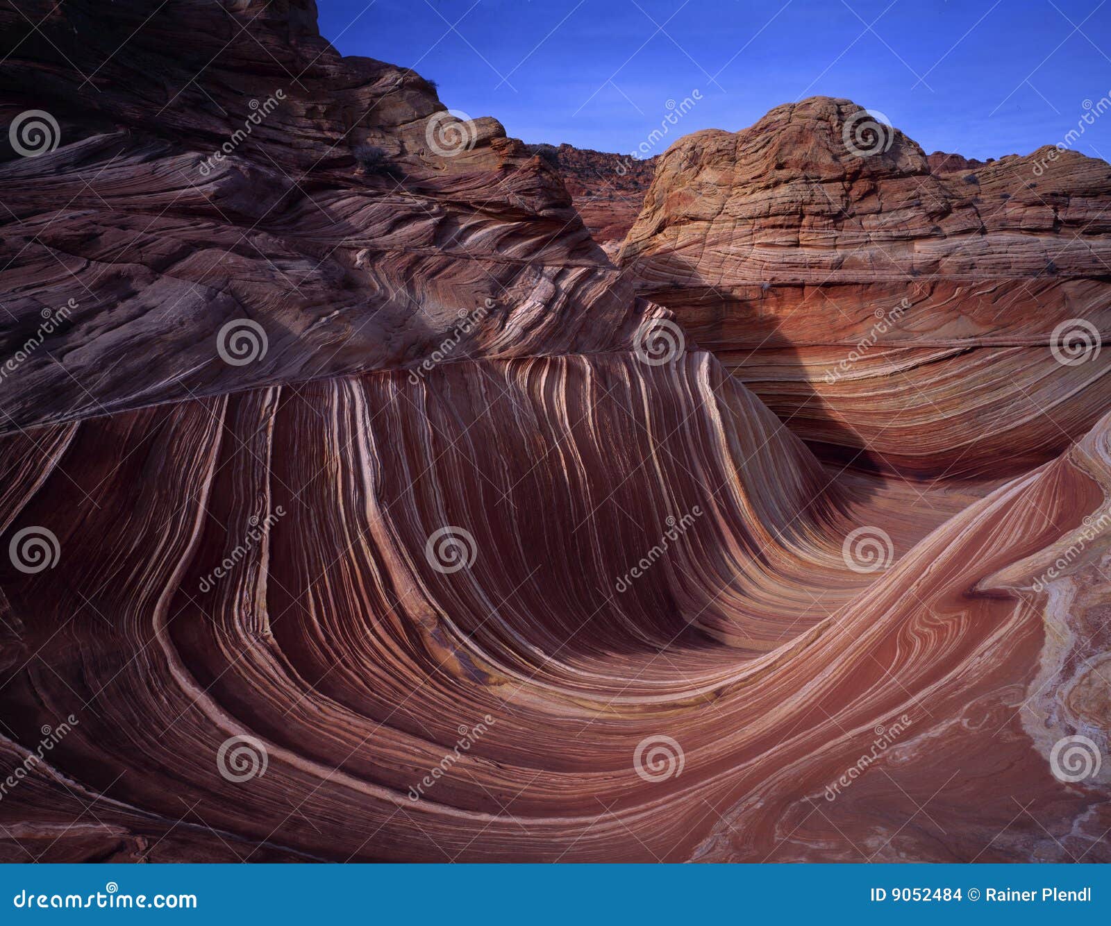The Wave Stock Photo Image Of Utah Arizona Wave Paria 9052484