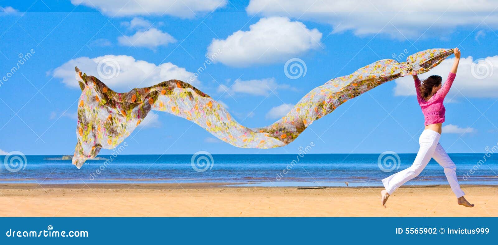 A wave in the air stock photo. Image of dream, sport, fast - 5565902