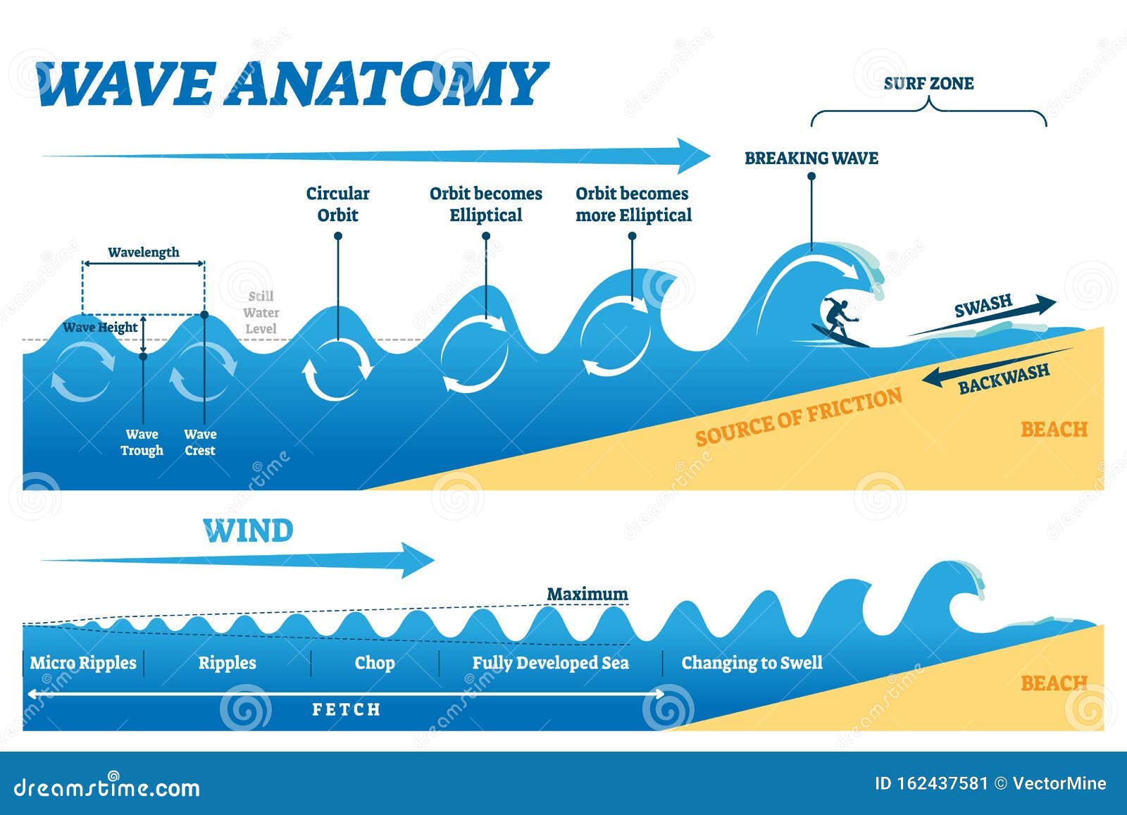 Wave Anatomy Vector Illustration. Water Movement Physics Explanation ...