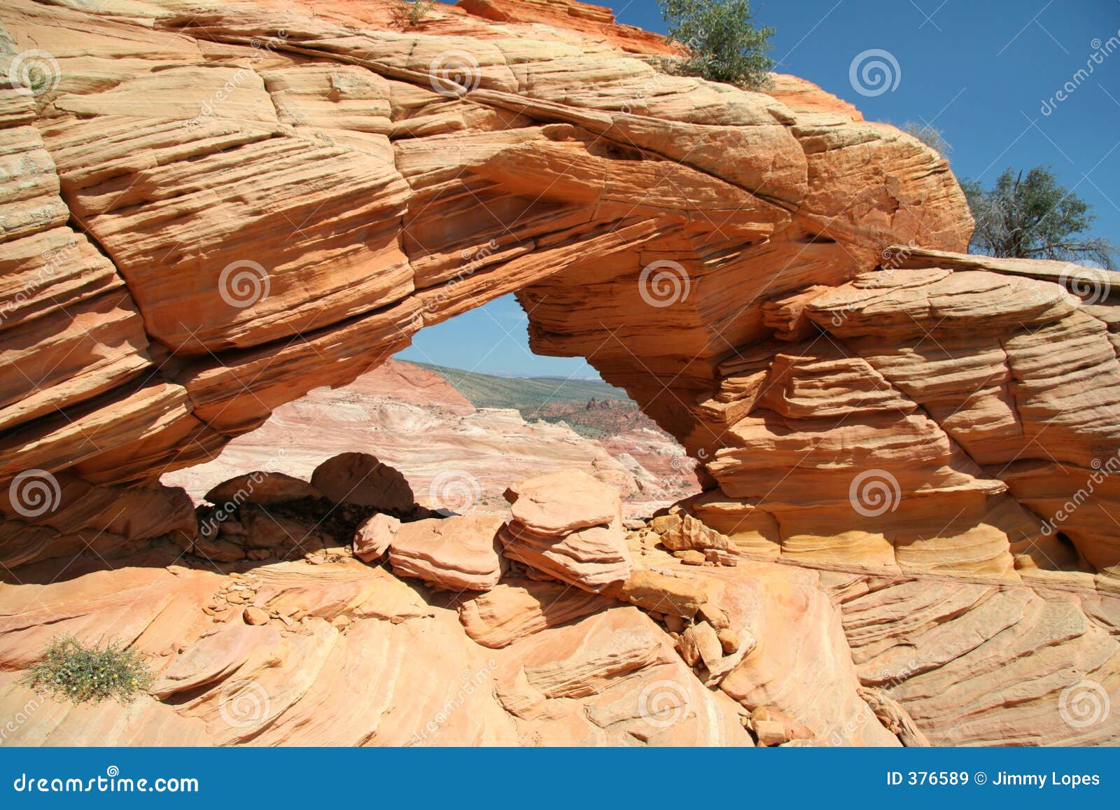The Wave Arch stock image. Image of landscapes, canyonlands - 376589