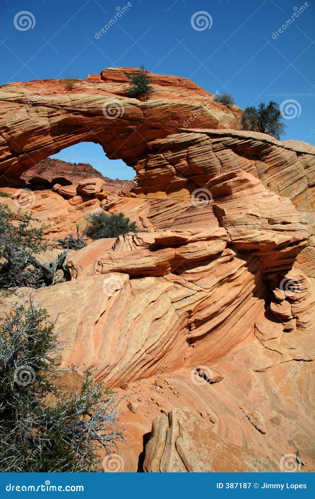 The Wave Arch stock image. Image of grand, canyon, scenic - 387187