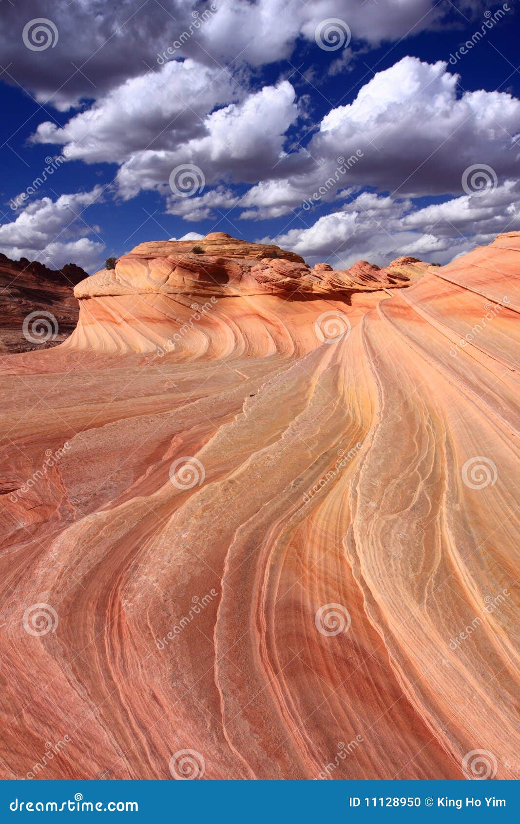 The Wave, Arizona stock photo. Image of barren, hike - 11128950