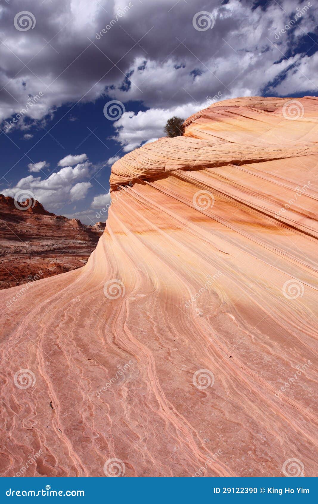 The Wave, Arizona stock photo. Image of sand, remote - 29122390