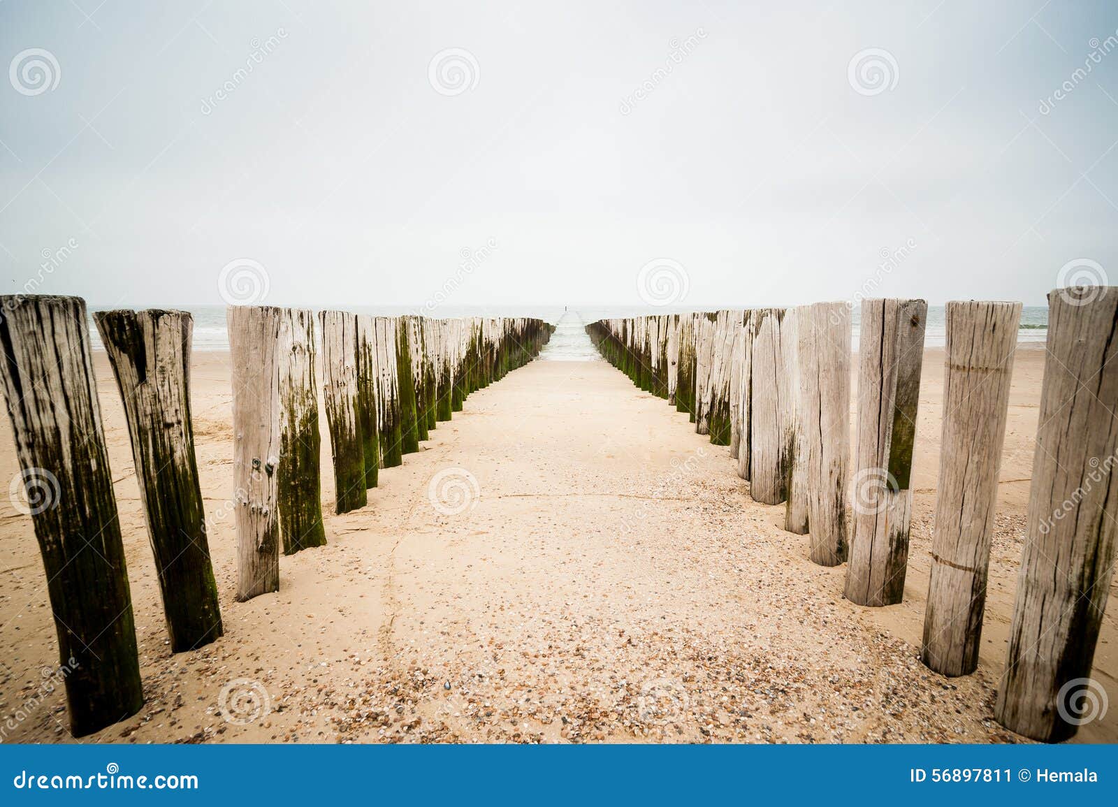 Wave Breaker stock image. Image of shore, wave, breakwate - 56897811