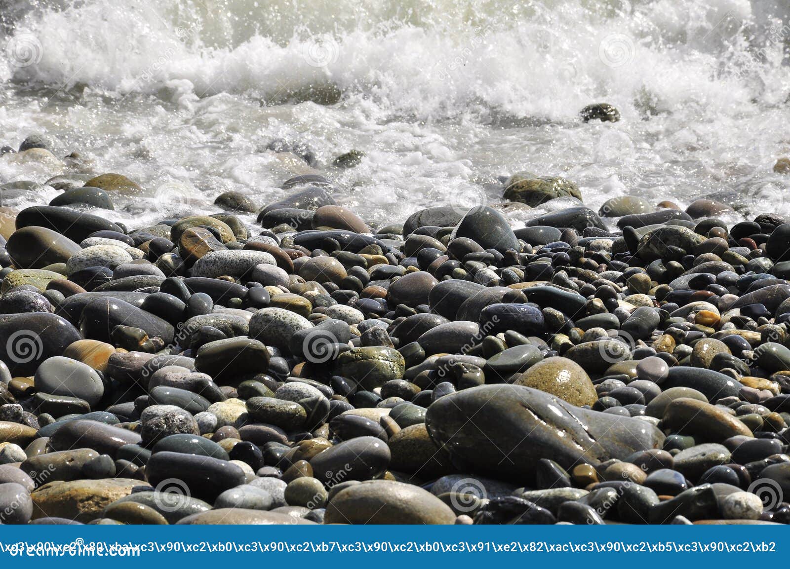 A Wave Breaking on a Pebble Beach, Close-up. Stock Image - Image of ...