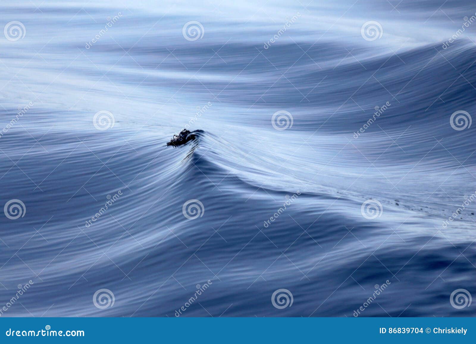 Wave Breaking at Sea stock photo. Image of beachgoers - 86839704