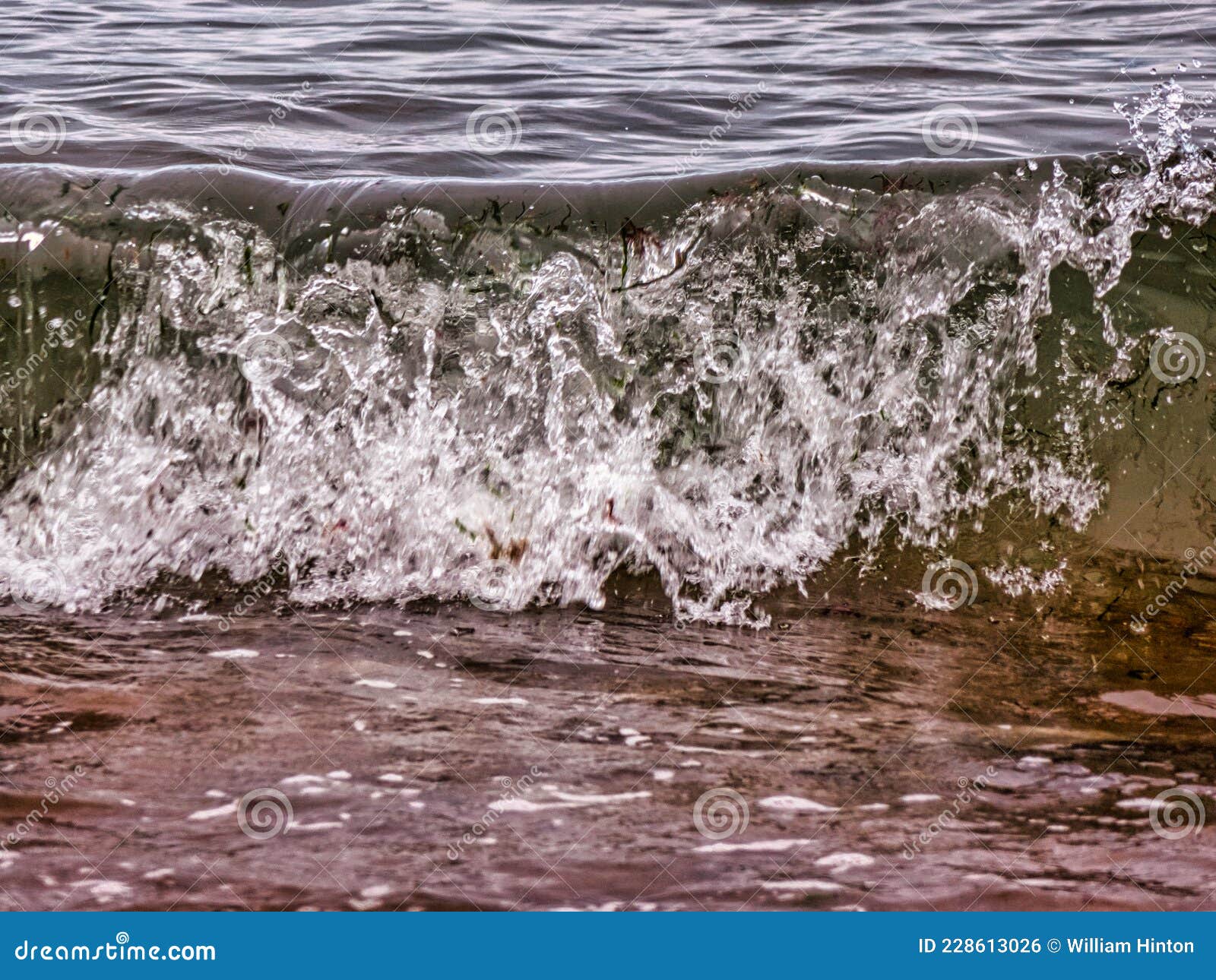 A Wave Breaking on the Shore Stock Photo - Image of breaking, wave ...