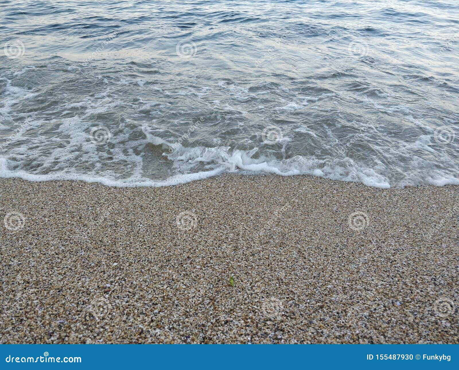 Wave close up on the beach stock photo. Image of view - 155487930
