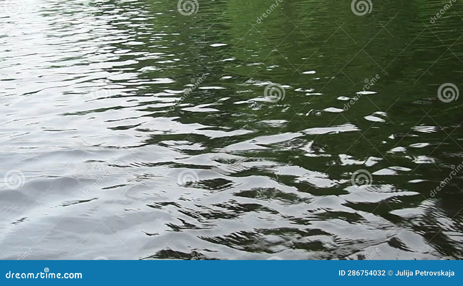 Wave, Excitement - Fluctuation of the Surface of a Forest Lake Under ...