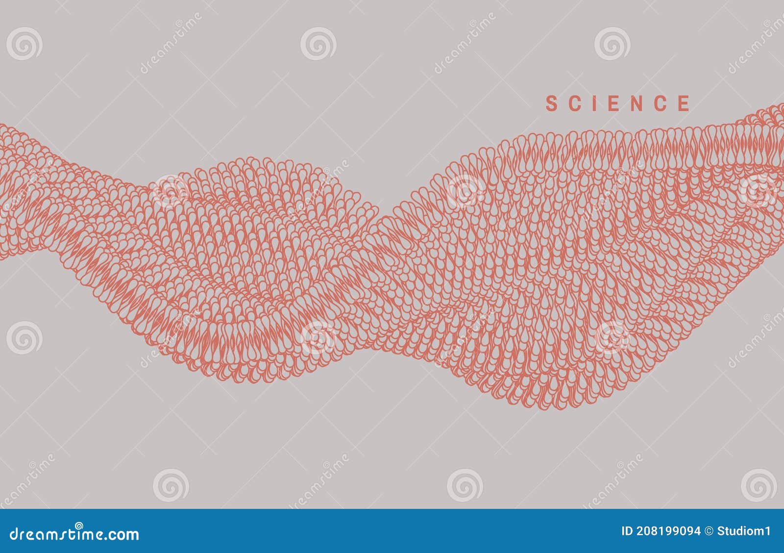 Cell Membrane With Labeled Educational Structure Scheme Vector ...