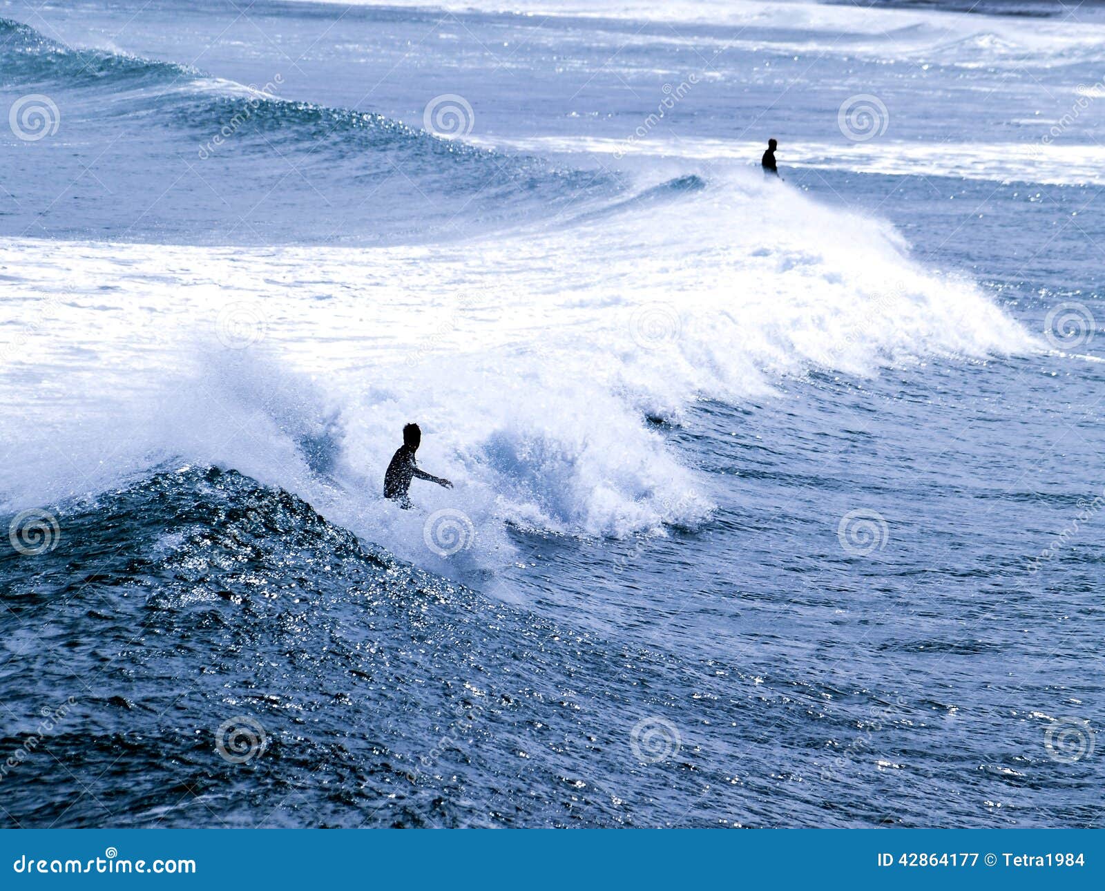Wave Gliders stock image. Image of active, wave, zealand - 42864177