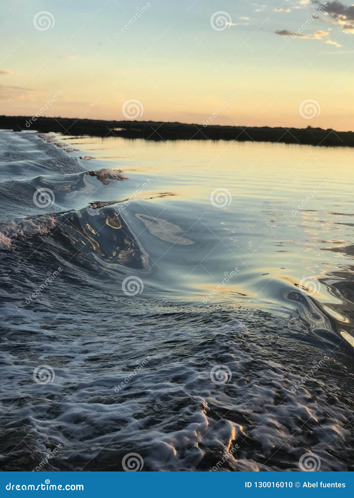 Wave stock photo. Image of morning, wave, coast, toast - 130016010
