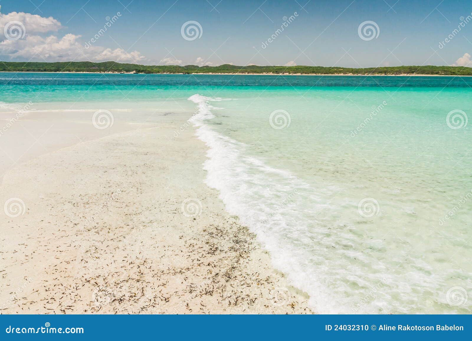 Wave in the lagoon stock photo. Image of emerald, environment - 24032310