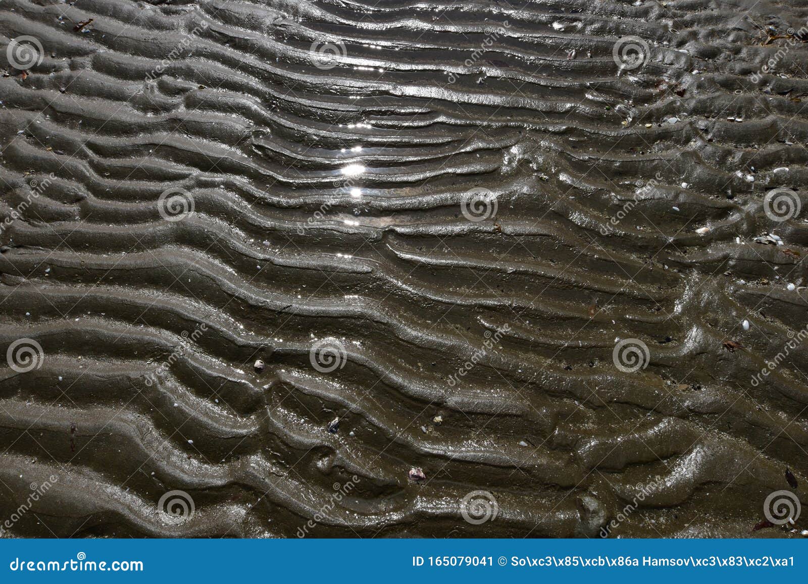 Wave marks in the sand stock image. Image of water, desert - 165079041
