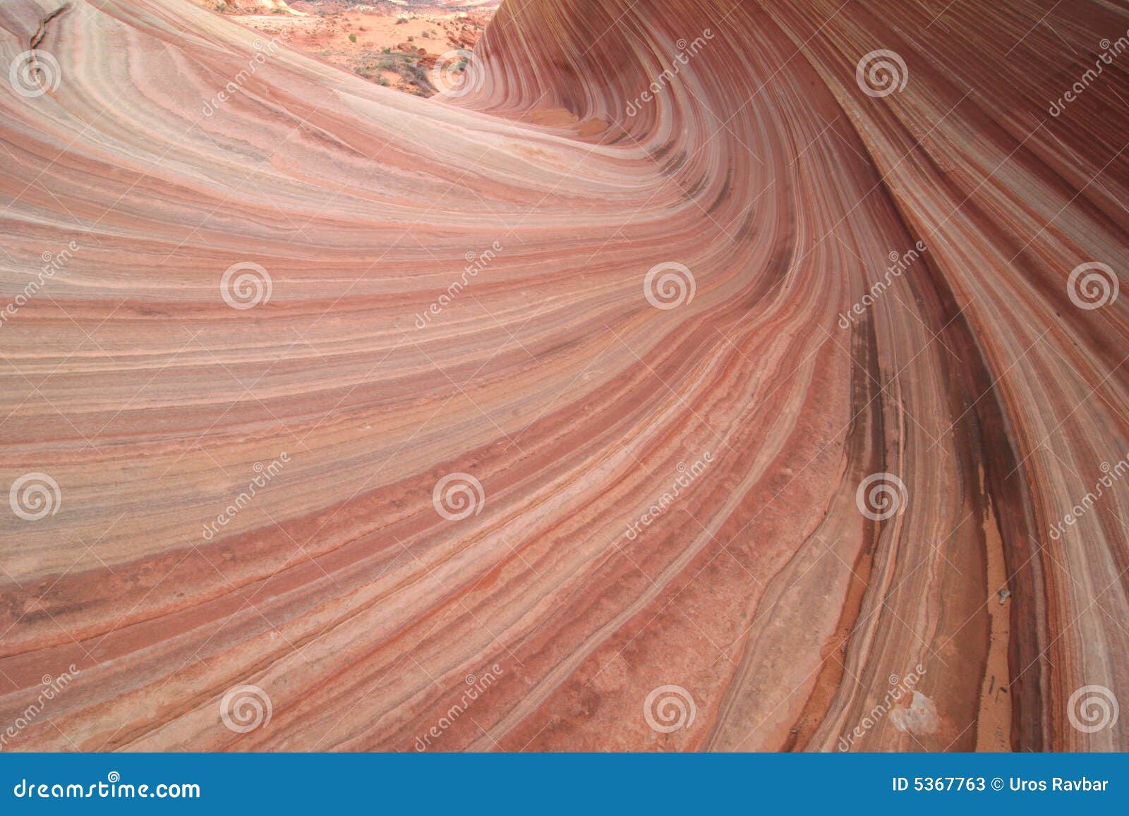 The Wave. Paria Canyon. Picture Image: 5367763