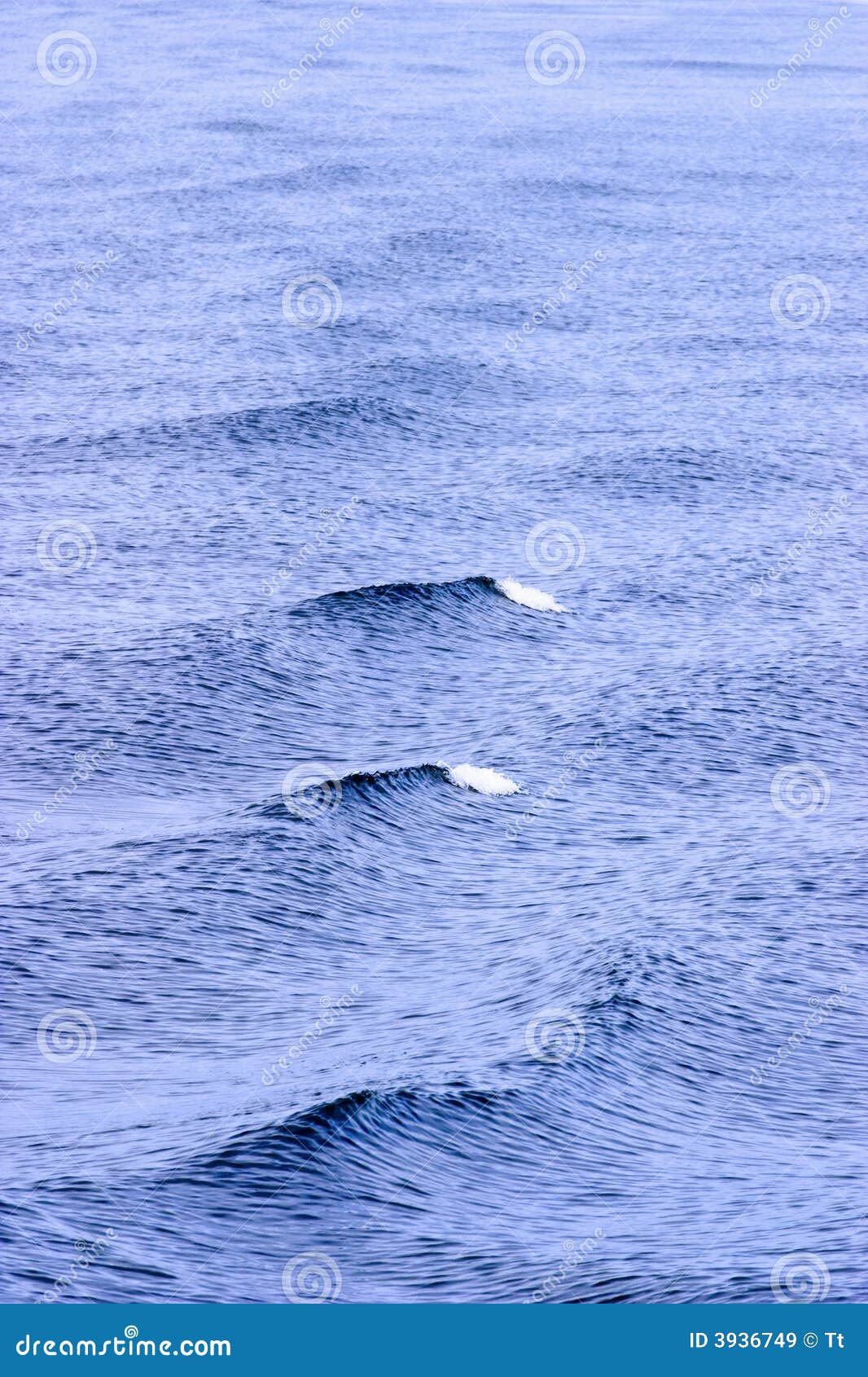Wave pattern stock image. Image of detail, waves, natural - 3936749