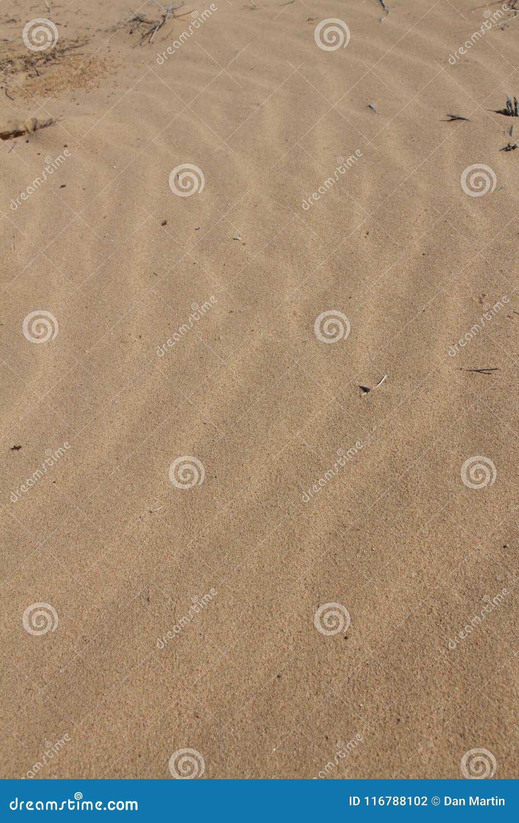 Wave Pattern in Desert Sand Dunes Stock Photo - Image of beige, pattern ...