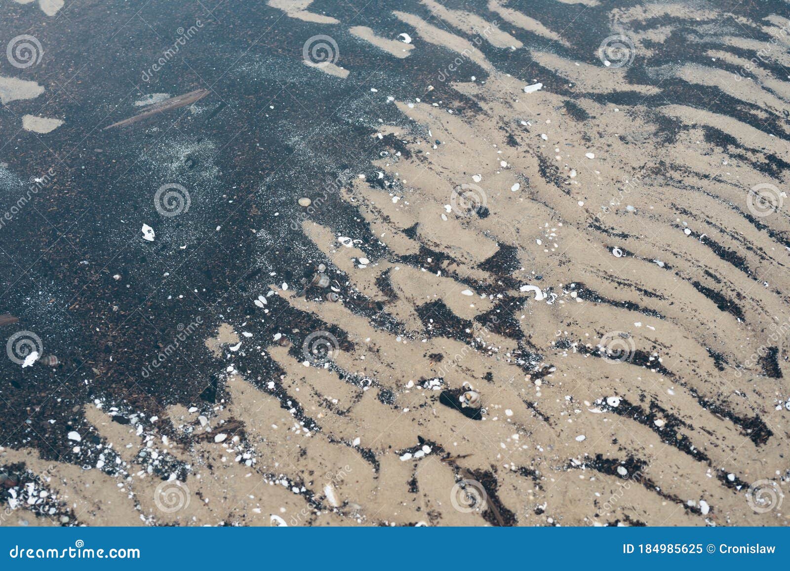Wave Pattern and Shells in a Sand on Shallow Water Stock Image - Image ...