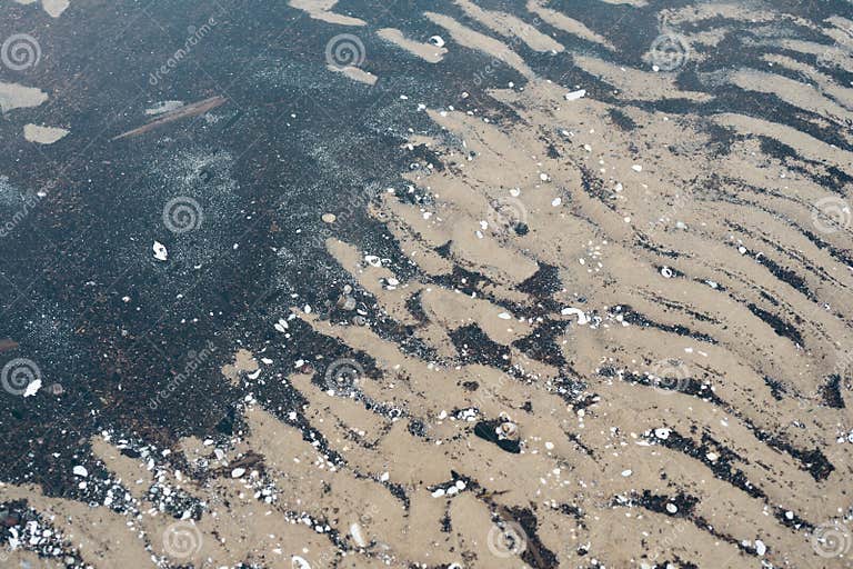 Wave Pattern and Shells in a Sand on Shallow Water Stock Image - Image ...