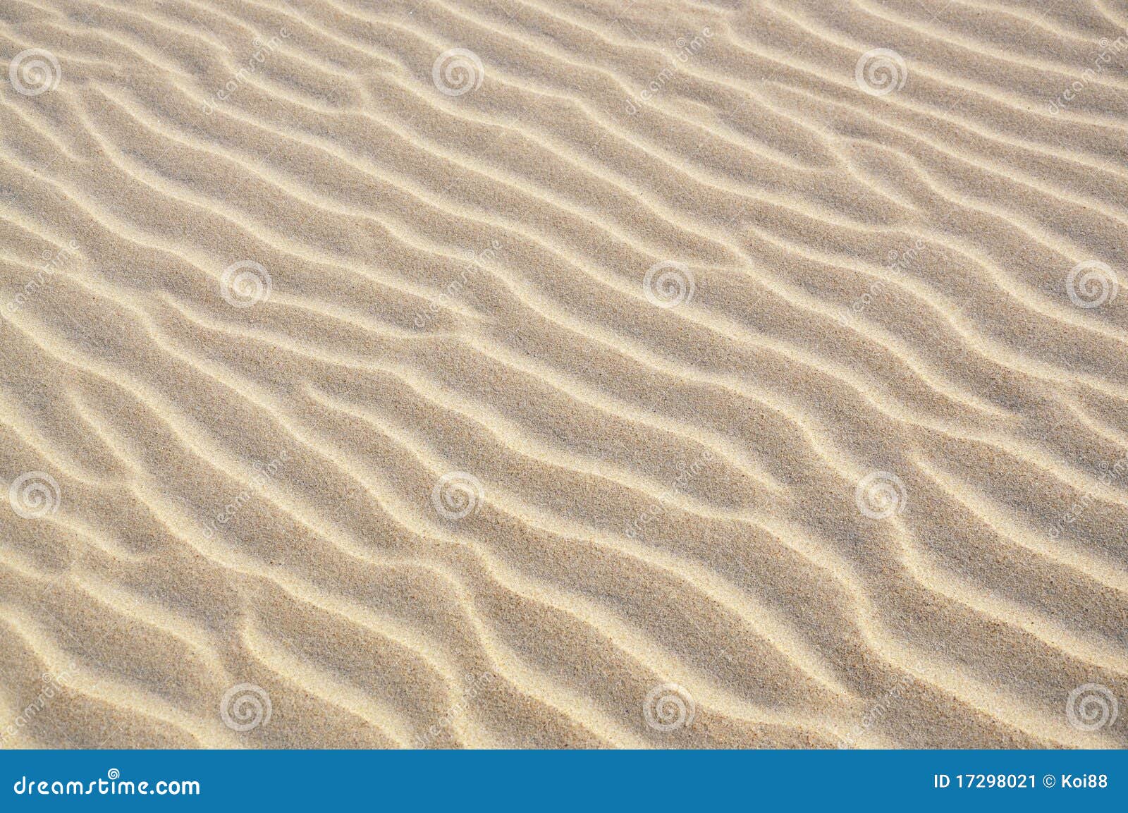 Wave Patterns on a Sand Dune Stock Image - Image of beautiful, outside ...