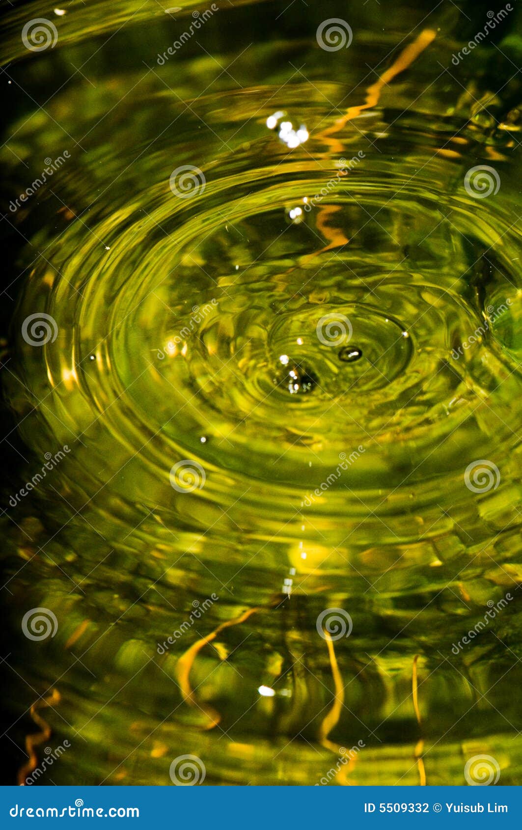The wave on the pond stock photo. Image of wave, bubble - 5509332