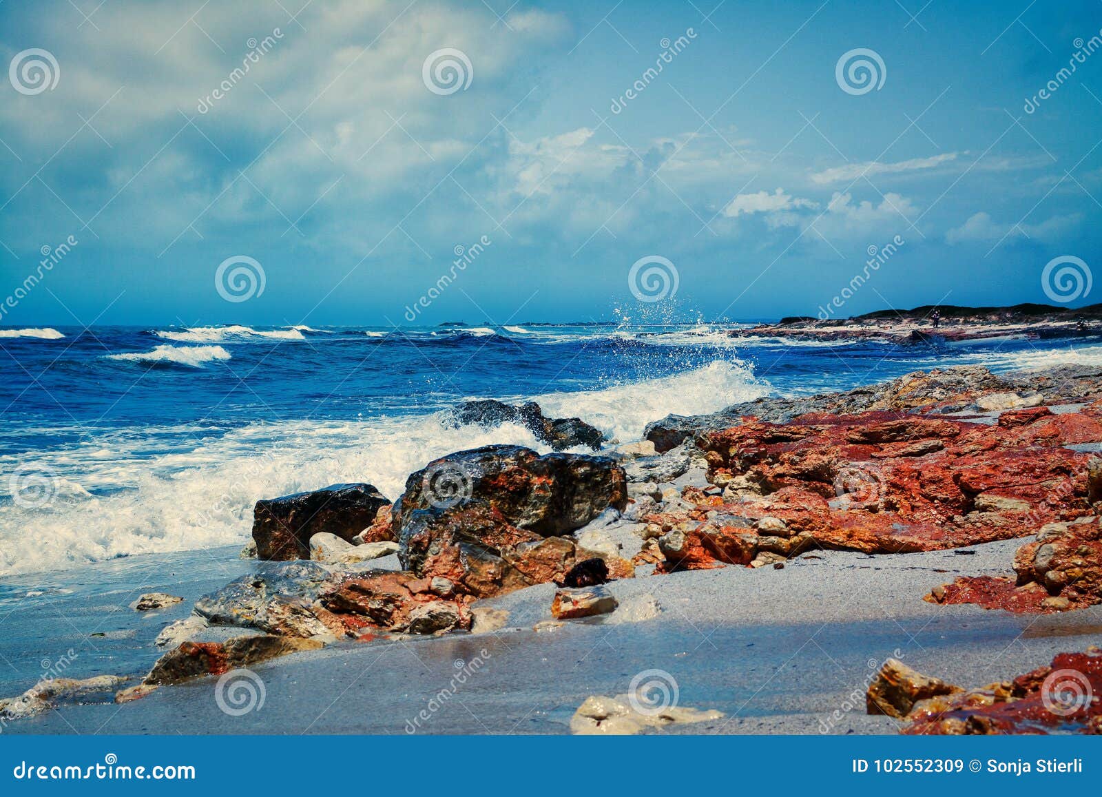 The wave stock image. Image of walk, flower, people - 102552309