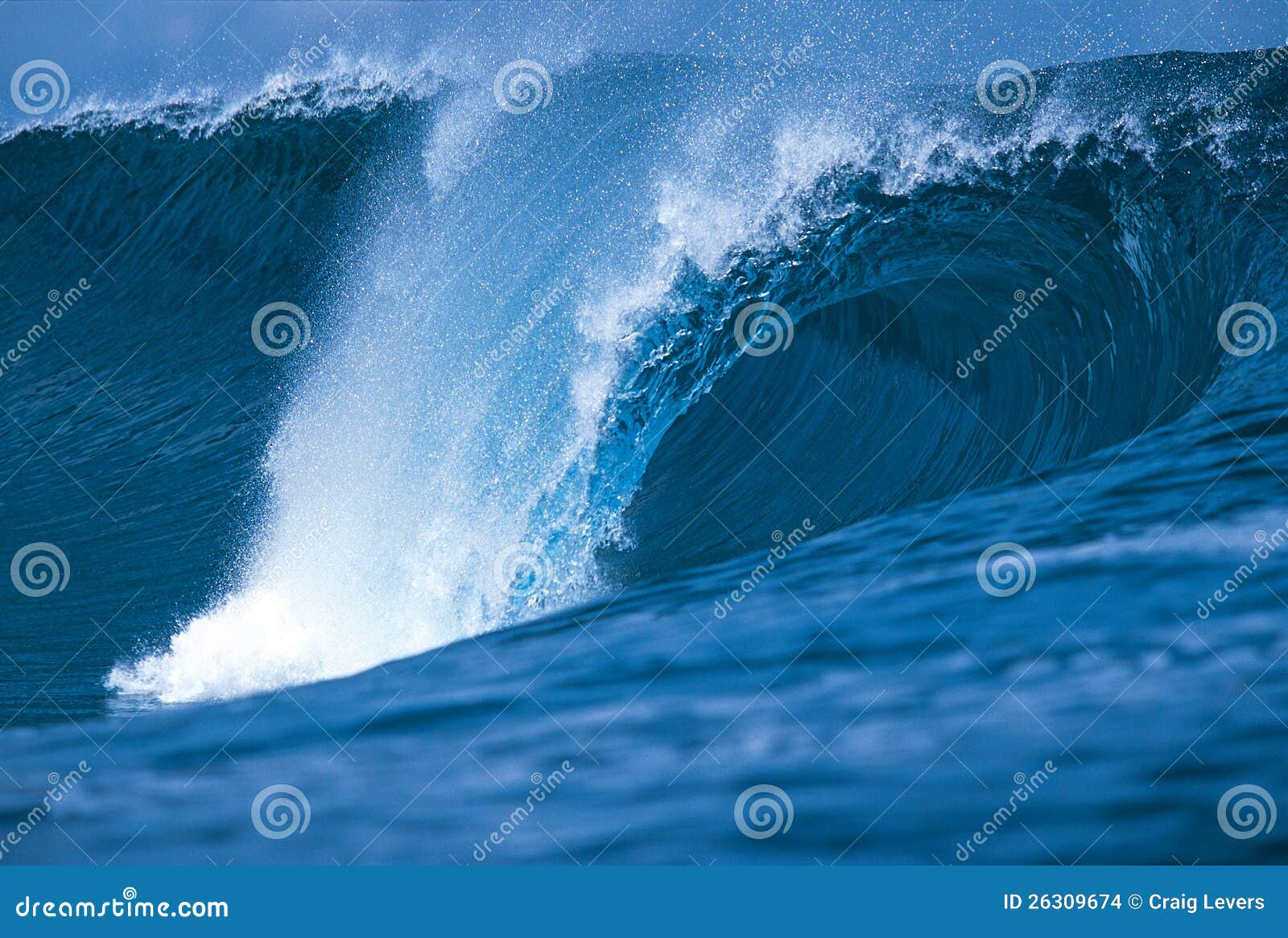 Wave on reef stock photo. Image of heavy, tube, surf - 26309674