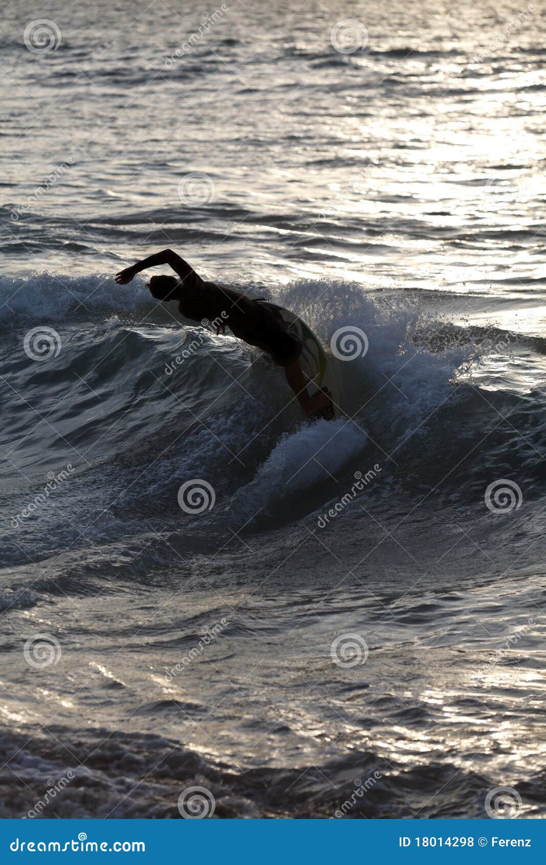 Wave rider stock photo. Image of athlete, splashing, pacific - 18014298