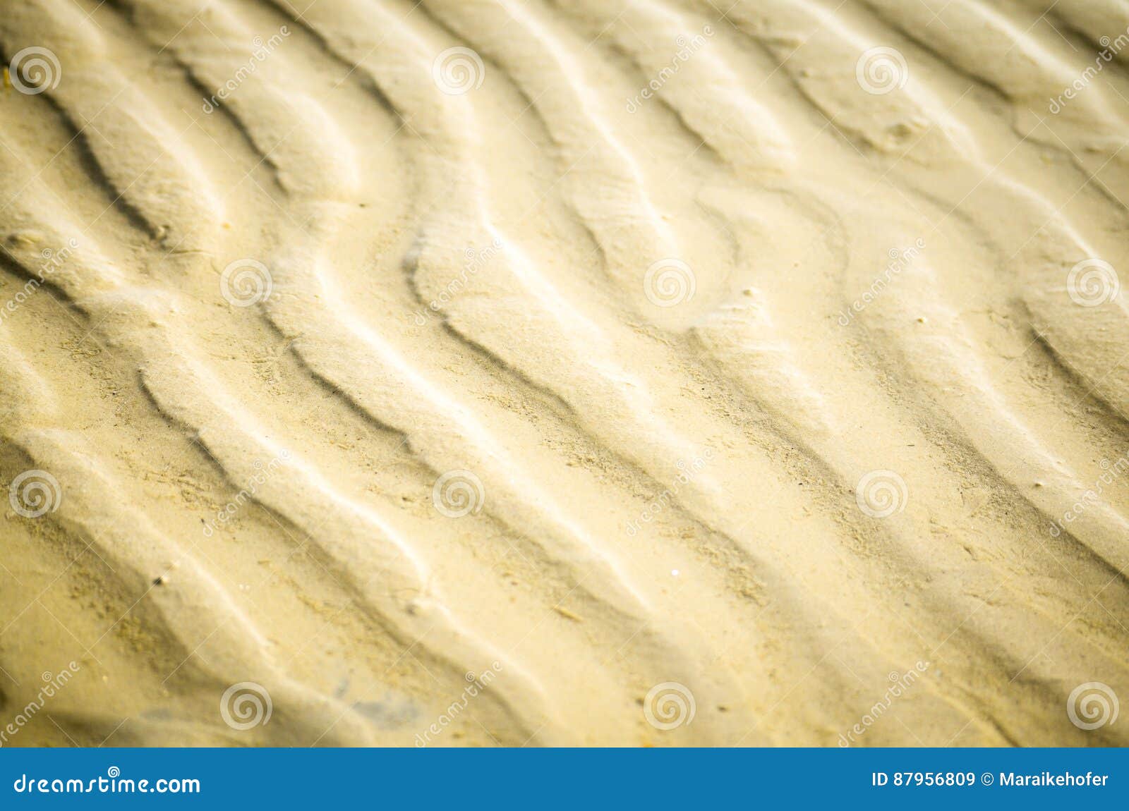 Wave Ripple Structures at the Beach Stock Image - Image of background ...