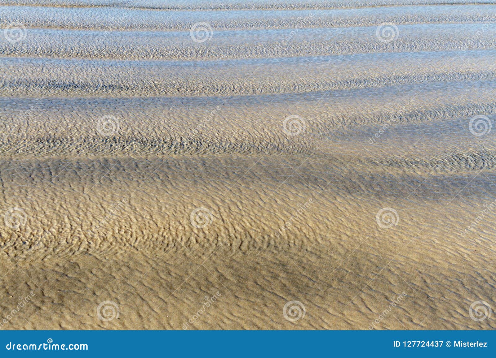 Wave Ripples Over Golden Sandy Beach Abstract Stock Image - Image of ...